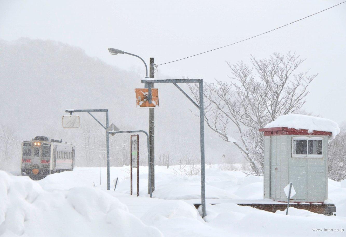 キハ54形500番代 旭川車M車単品 | 鉄道模型店 Models IMON